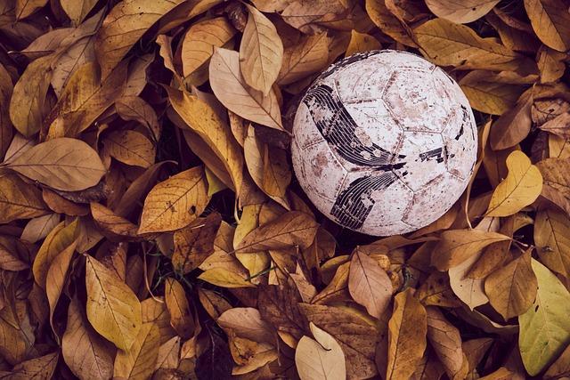 When Is Major League Soccer Season? MLS Calendar! » Beech Mont Soccer Club